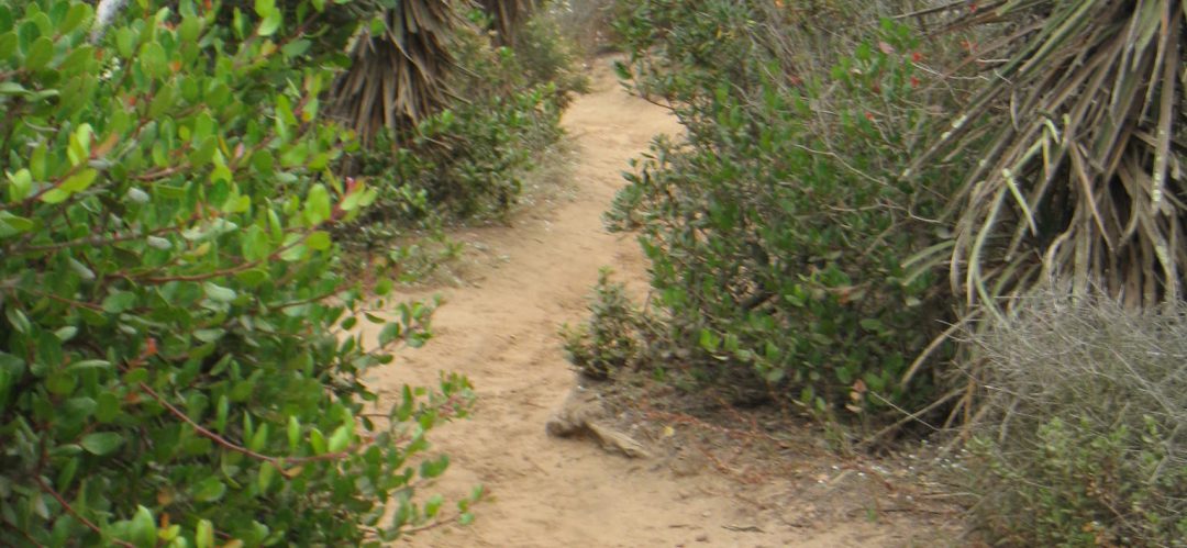 What is the Beaten Track – Off the Beaten Track